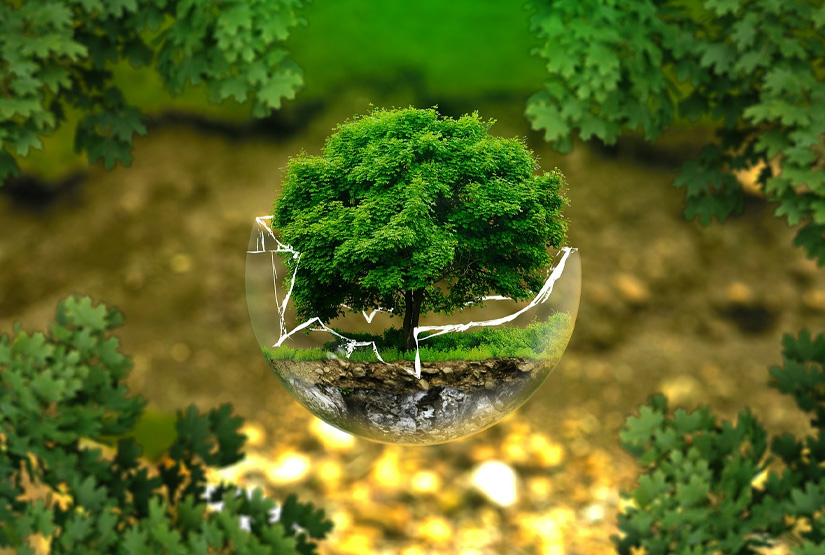 Sustainability | TSP