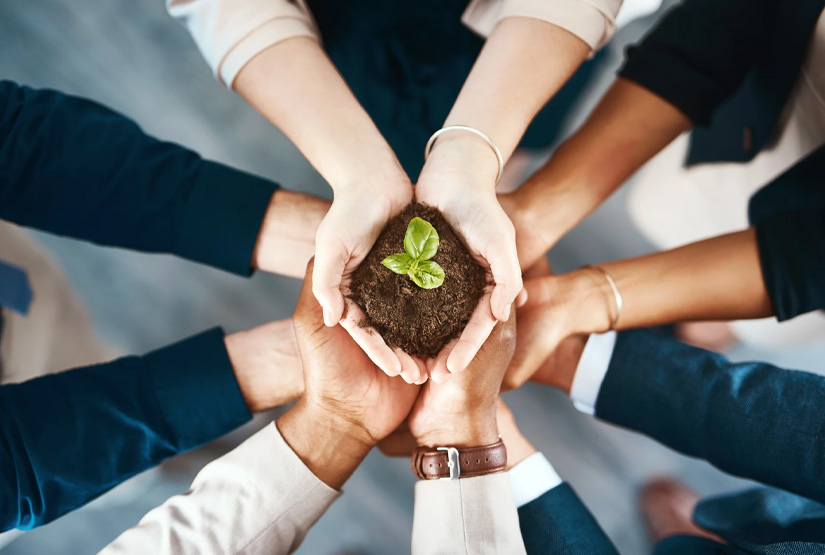 Sustainability | TSP